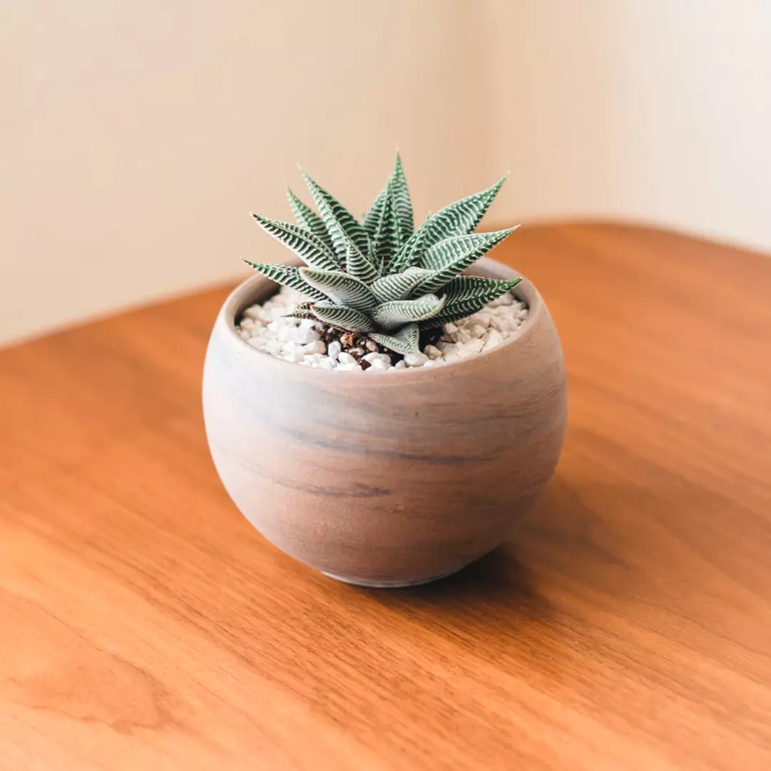 Créer une Charte Graphique High-Tech : Guide & Astuces